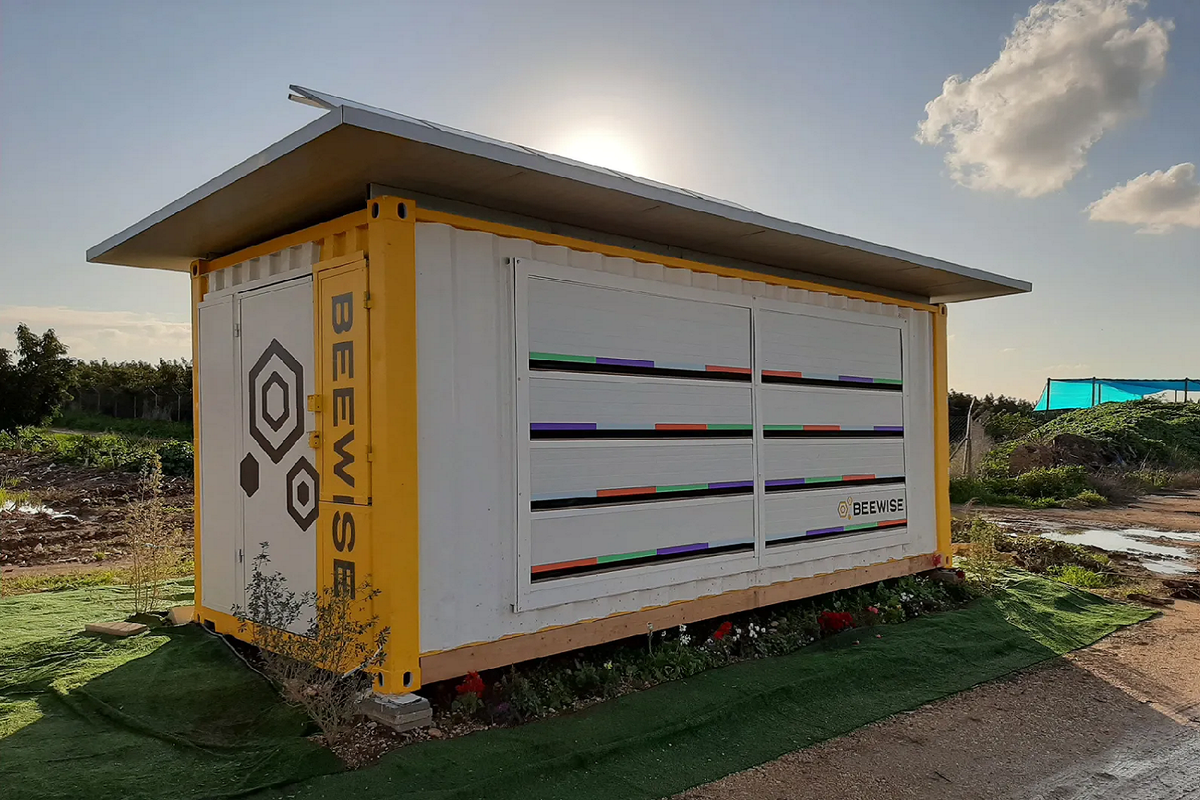 AI in Action – Healing Bees in Real Time – Karma Honey Project