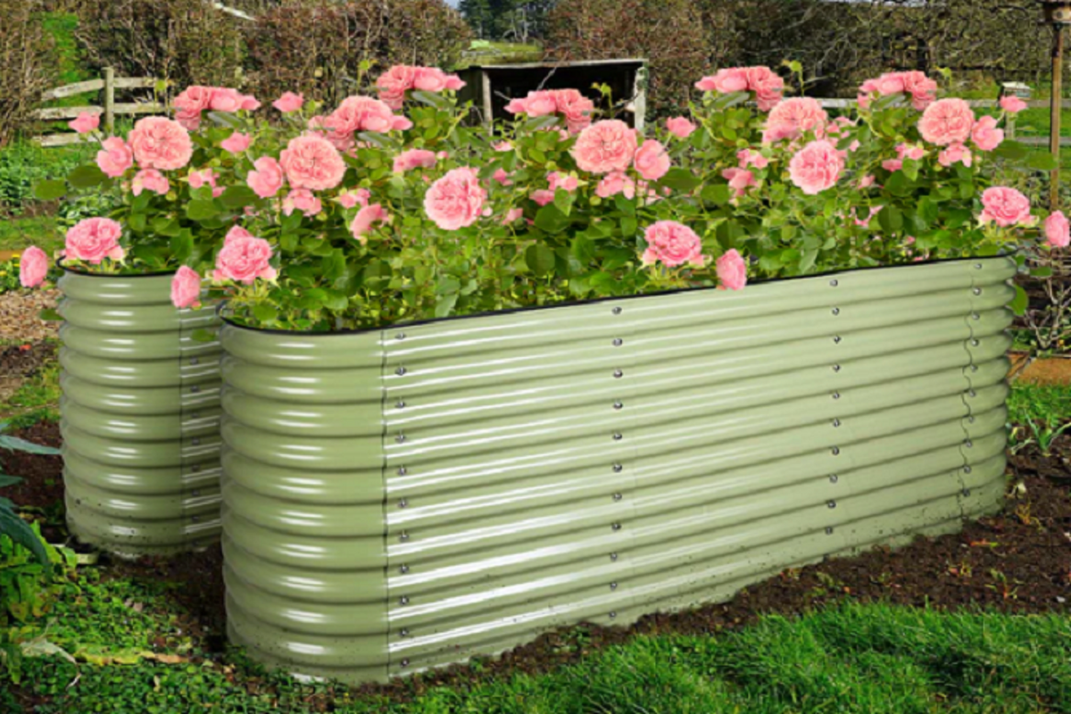 Raised Garden Beds Create a Paradise for Bees – Karma Honey Project
