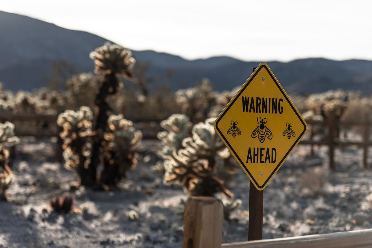 Are Honeybees the Future of Search and Rescue? – Karma Honey Project